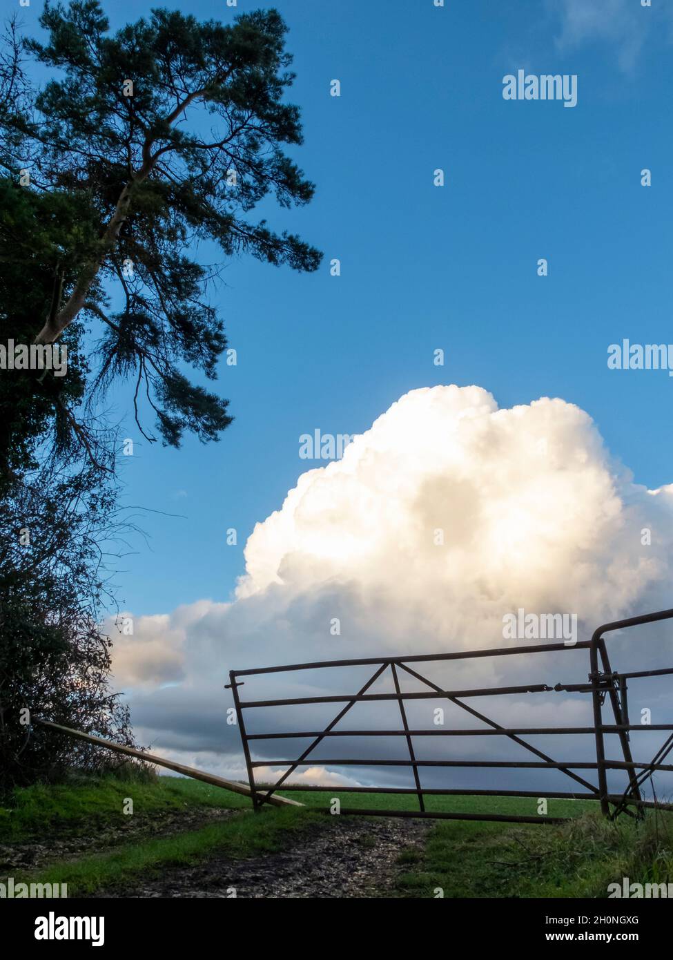 After a storm as the rainclouds clear,a gate leading into a field with ...