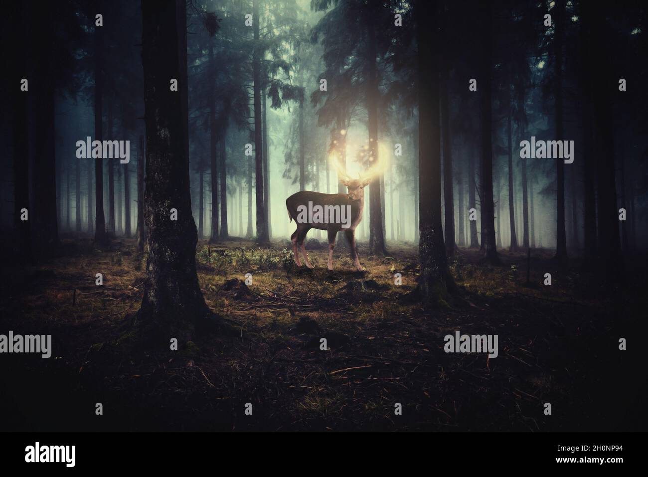 Male deer with magical horns in the forest Stock Photo - Alamy