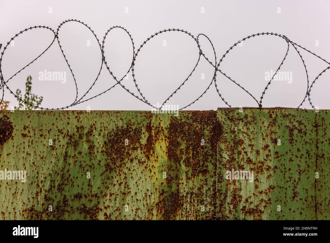 flat rusted sheet metal fence with peeled off green paint and barbed ...