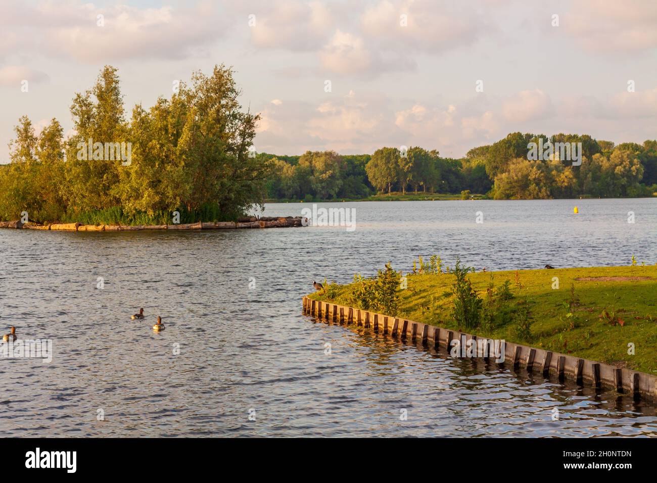 Kralingse lake rotterdam hi-res stock photography and images - Alamy