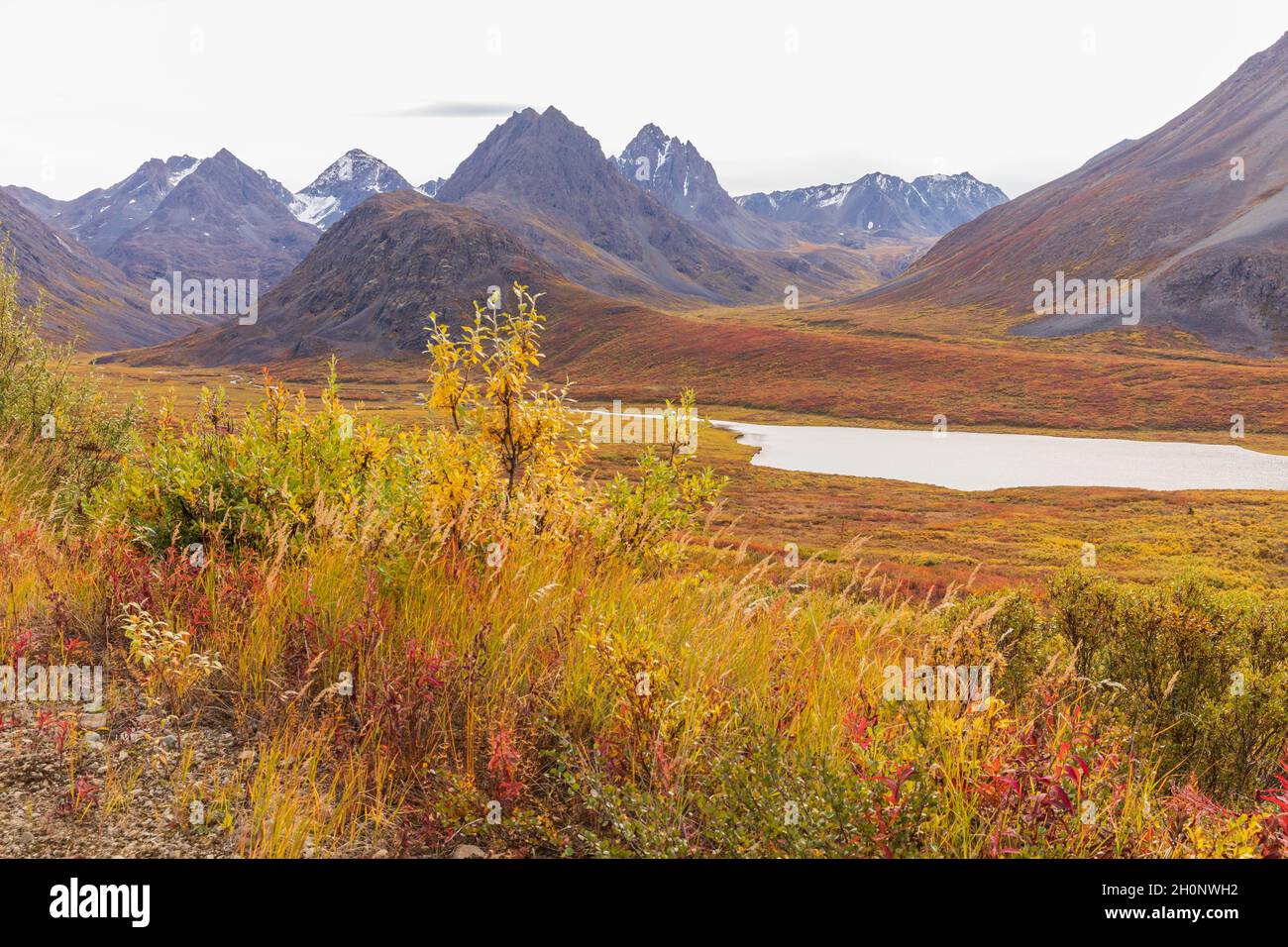 Autumn denali hi-res stock photography and images - Alamy