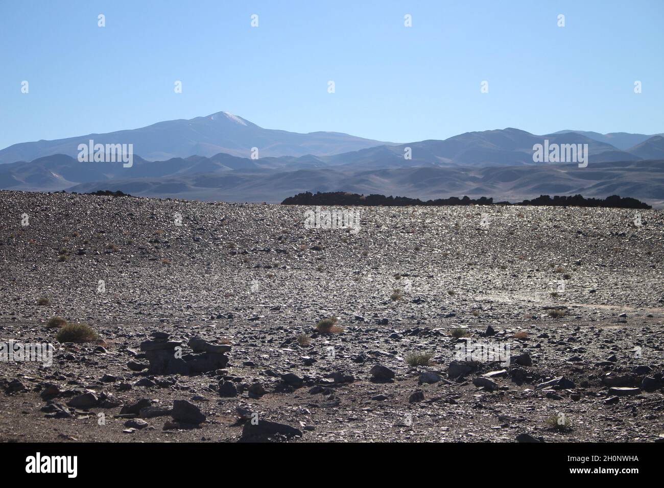 desert landscape of northwestern Argentina Stock Photo - Alamy
