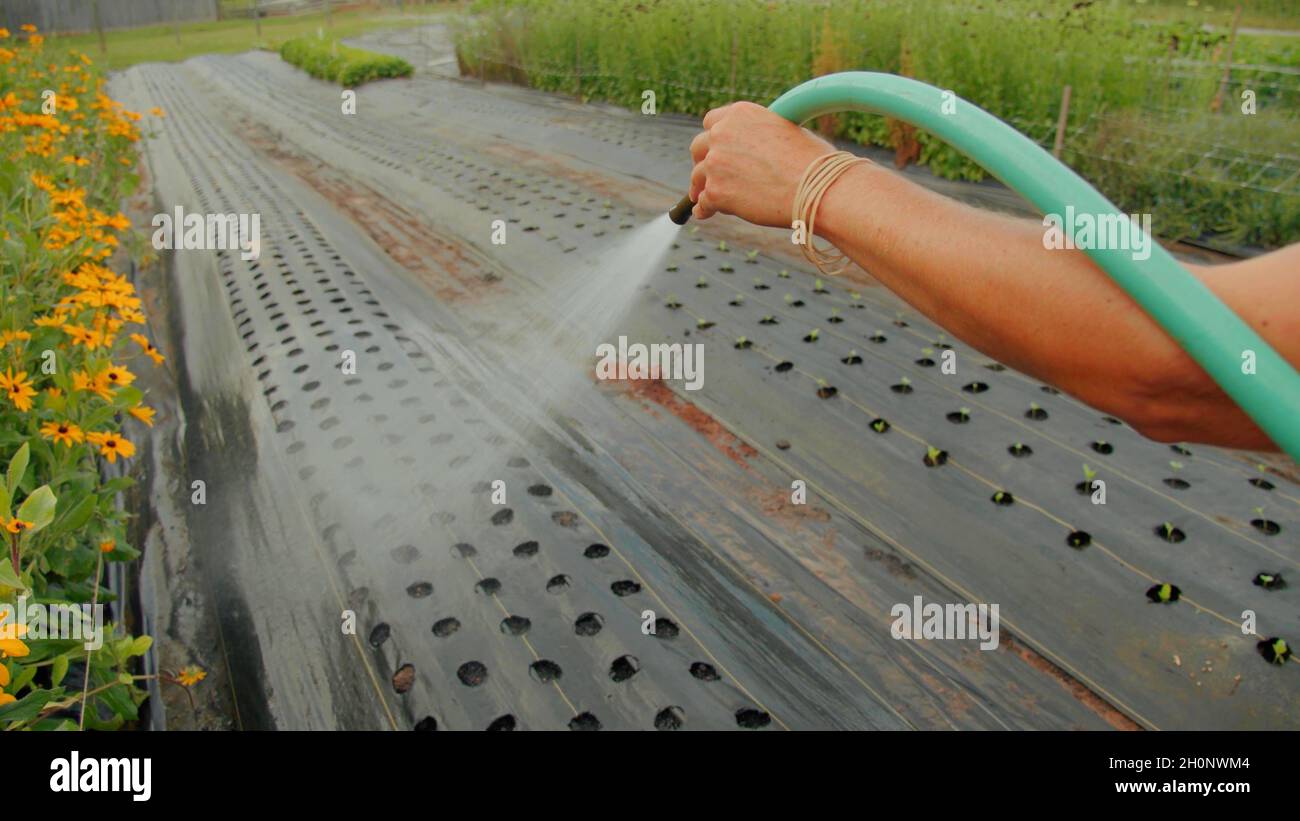 Watering the fields hi-res stock photography and images - Alamy