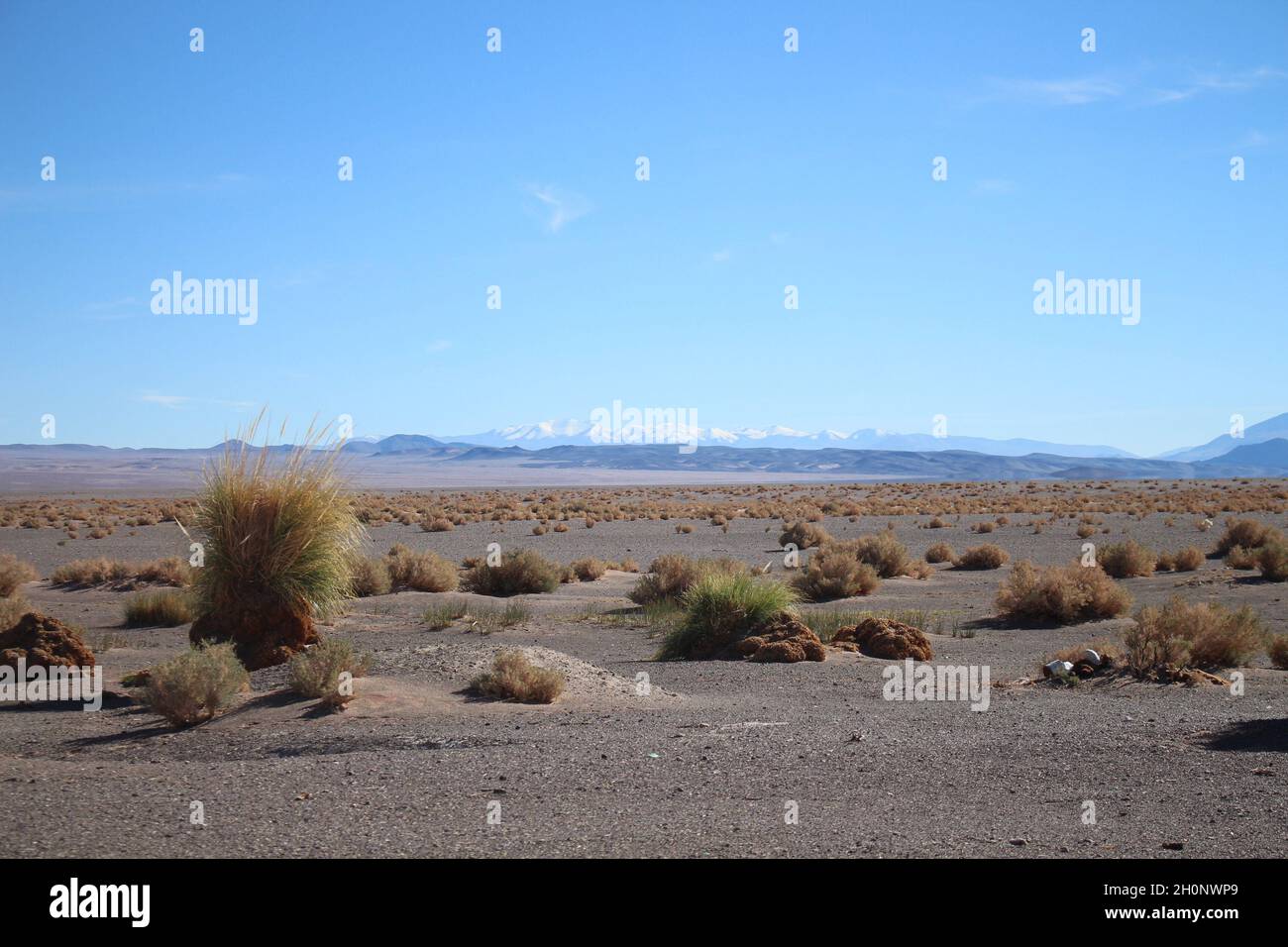 desert landscape of northwestern Argentina Stock Photo - Alamy