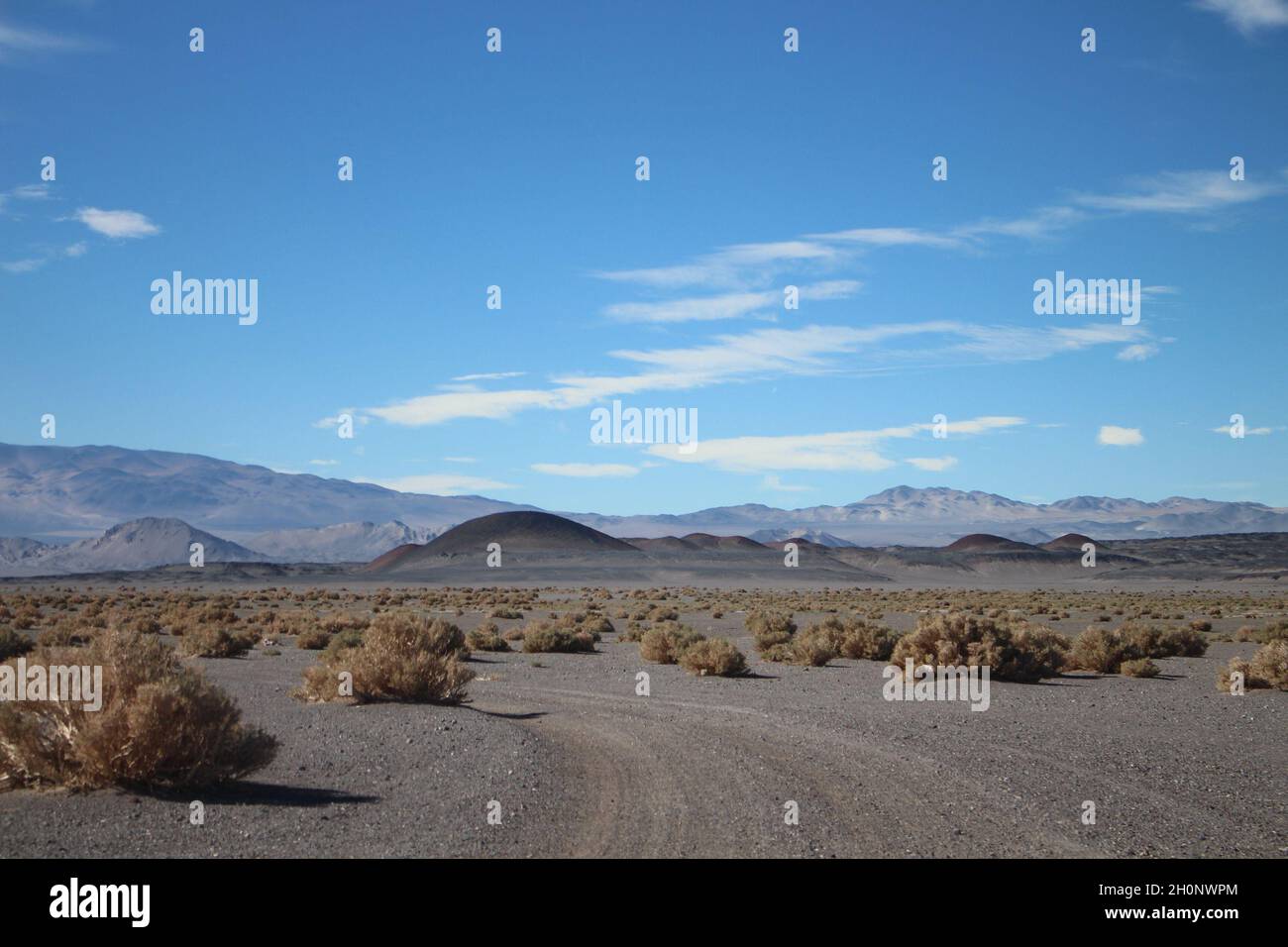 desert landscape of northwestern Argentina Stock Photo - Alamy