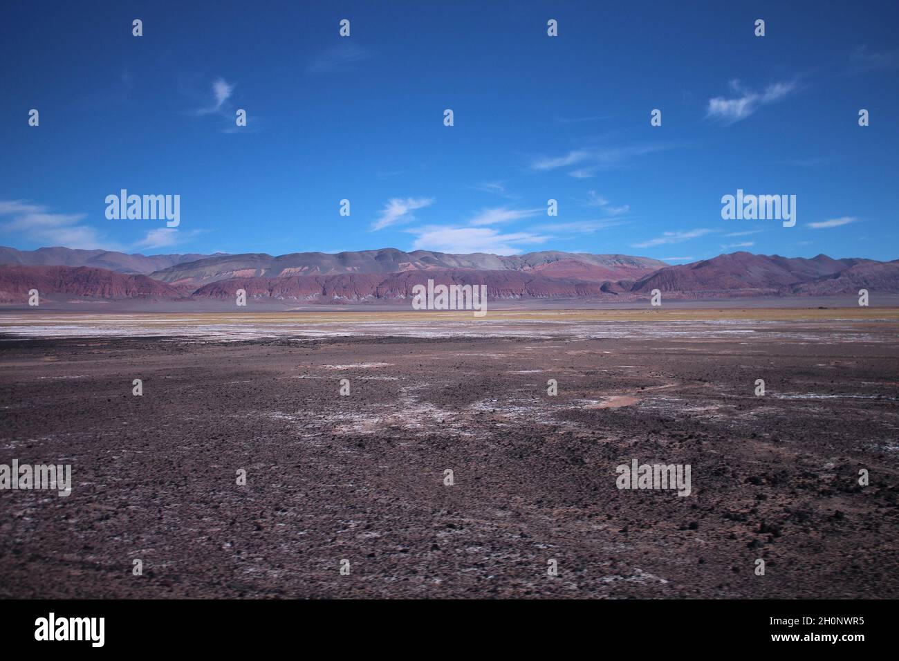 desert landscape of northwestern Argentina Stock Photo - Alamy