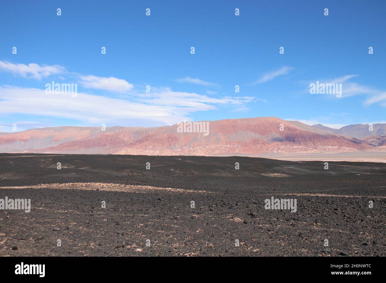 desert landscape of northwestern Argentina Stock Photo - Alamy