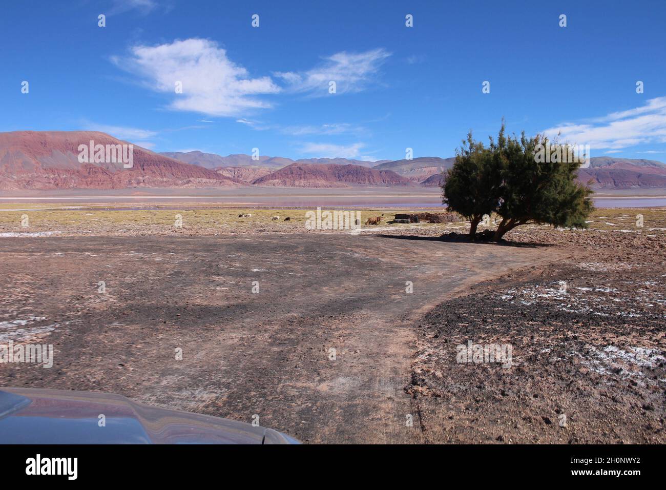 desert landscape of northwestern Argentina Stock Photo - Alamy