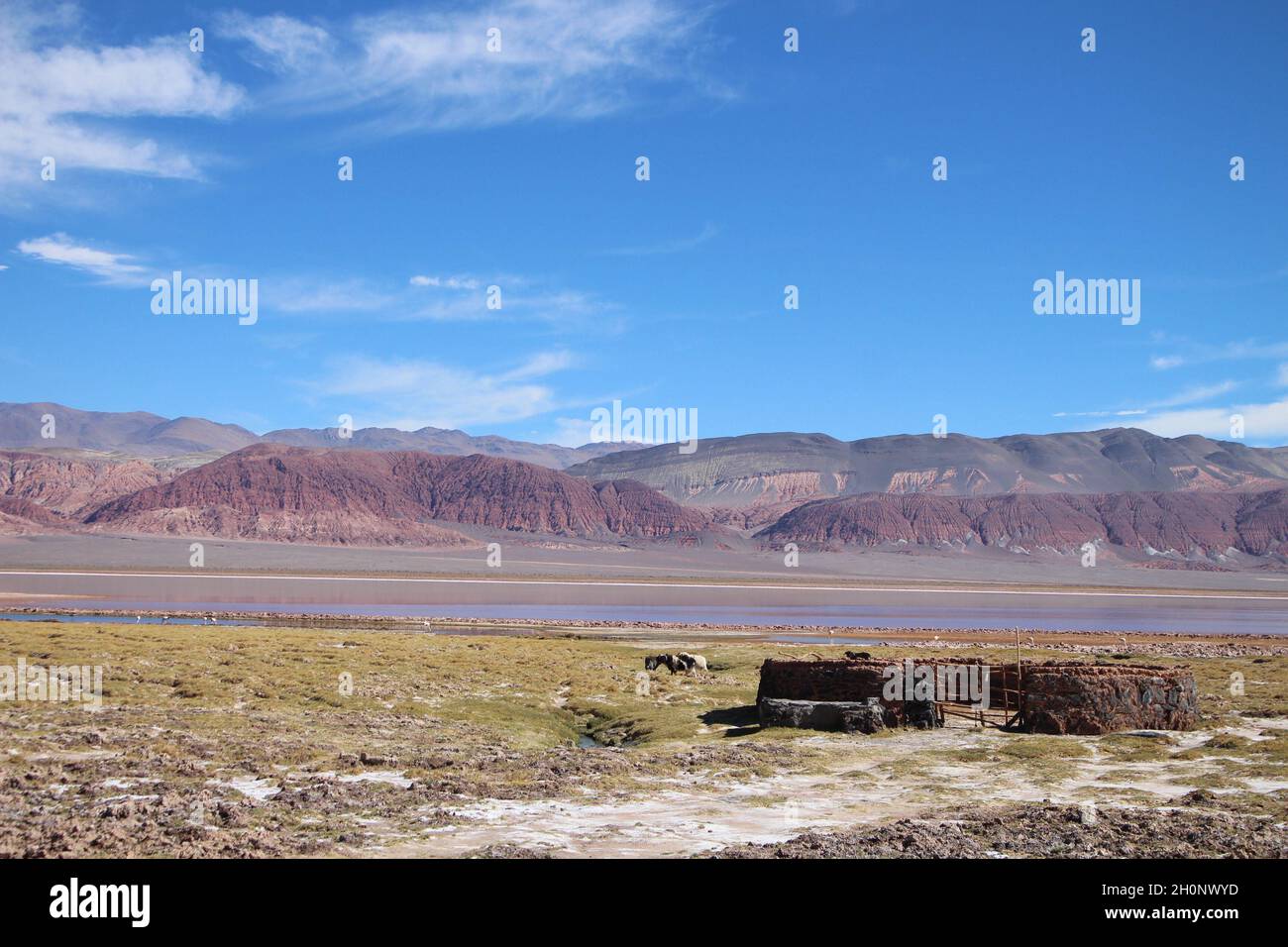 desert landscape of northwestern Argentina Stock Photo - Alamy