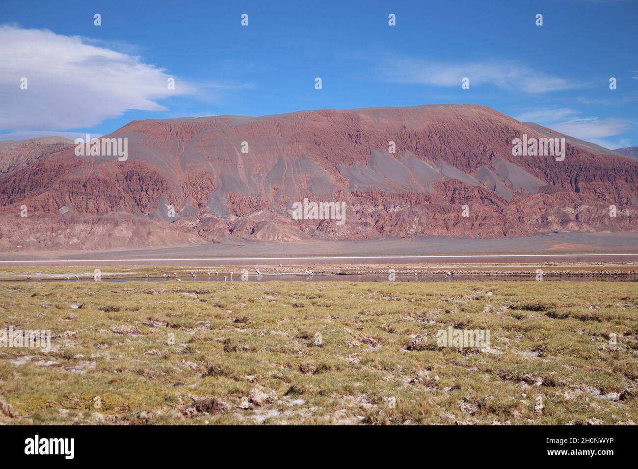 desert landscape of northwestern Argentina Stock Photo - Alamy