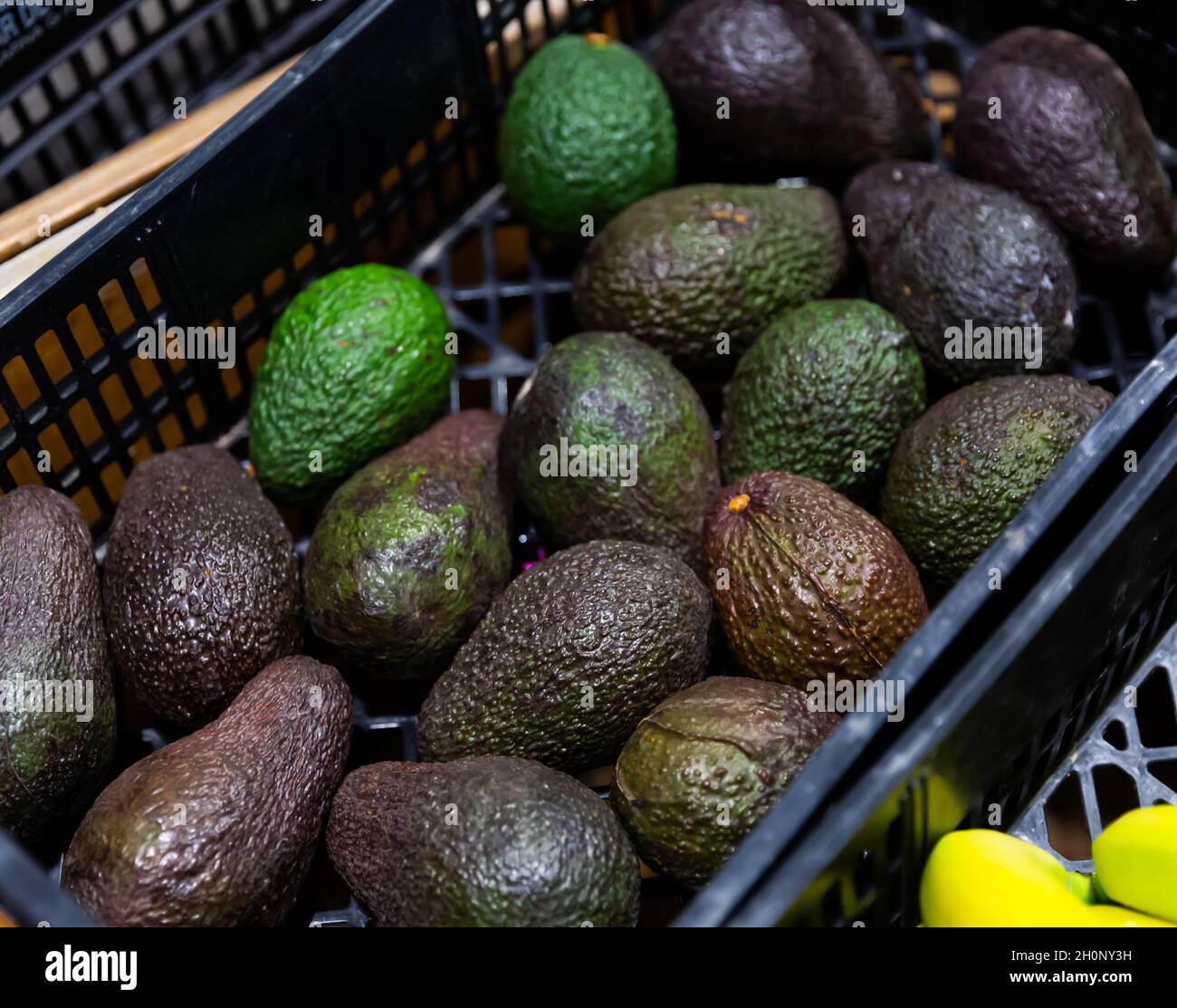 Raw avocado for sale Stock Photo - Alamy