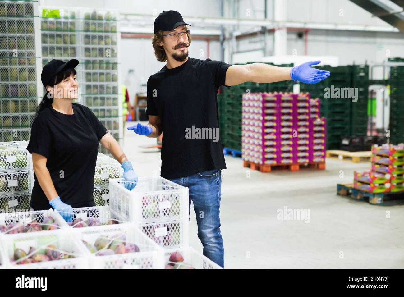 Male and female workers of fruit packing facility talking at workplace ...