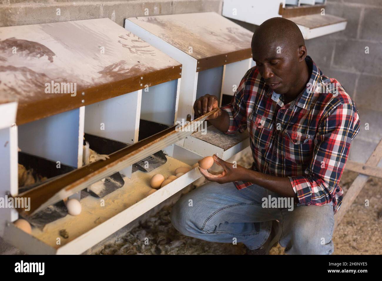 Man taking eggs hi-res stock photography and images - Alamy