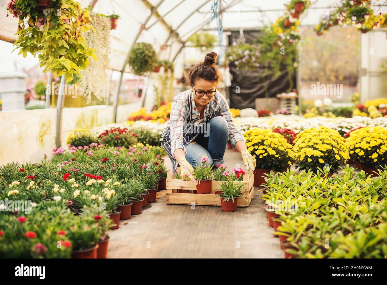 Smiling female florist putting flowers in crate while kneeling in ...