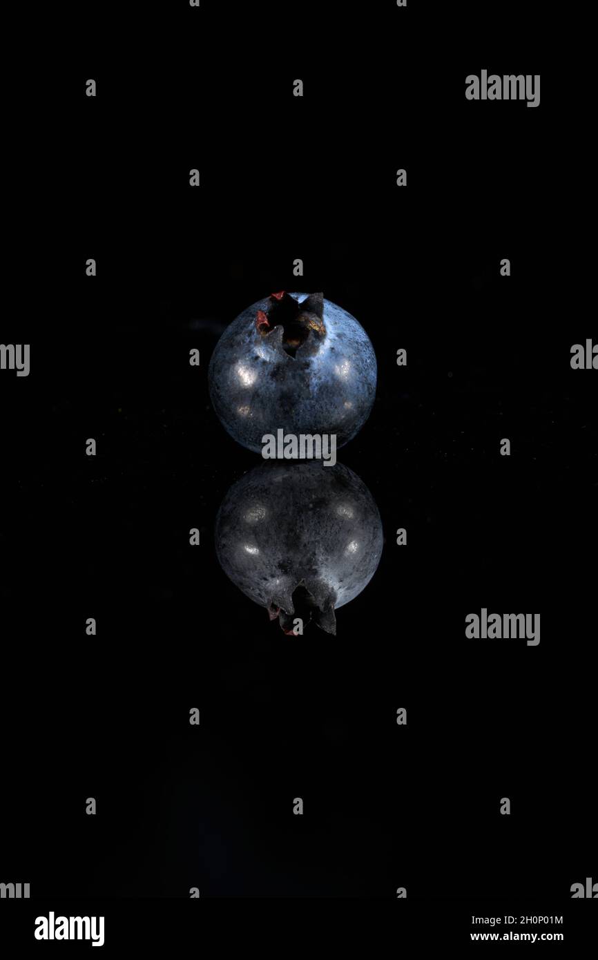 Beautiful vertical shot of a single ripe blueberry isolated in the ...