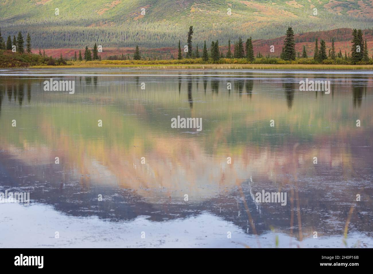 The Still Water in the Lake Reflects a Mountain in the Wilderness of ...
