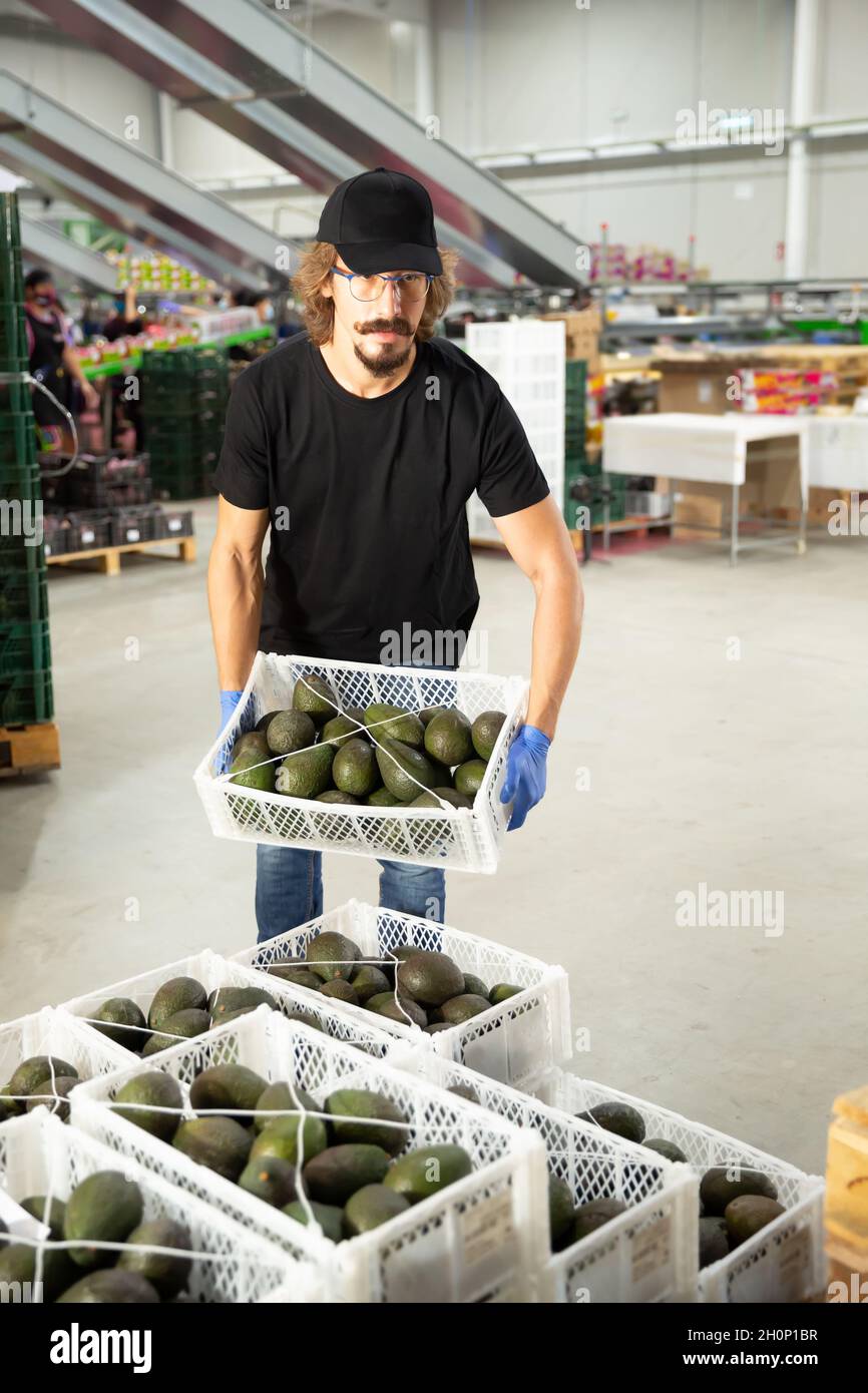 Stacking fruit boxes hi-res stock photography and images - Alamy