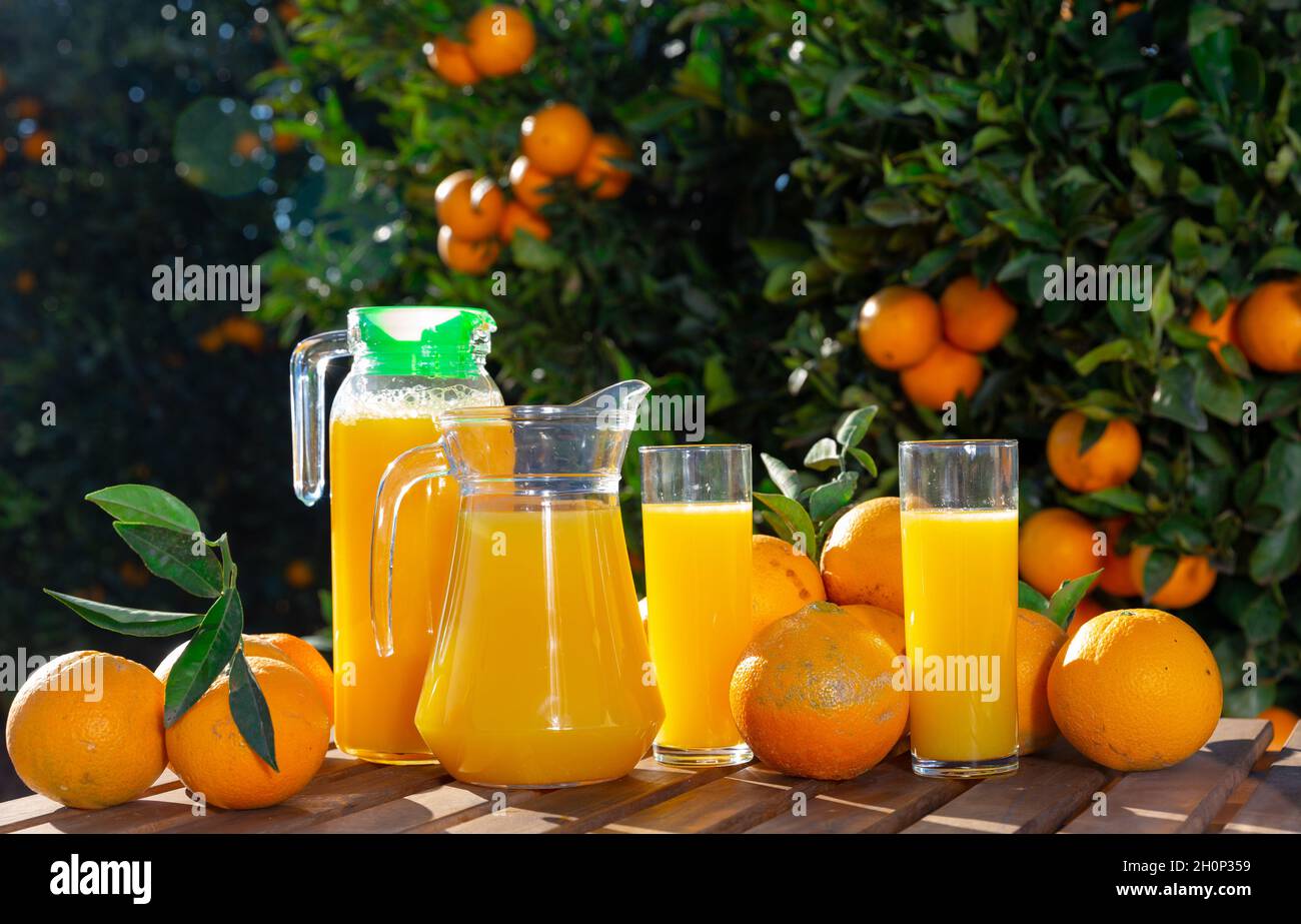 Orange juice with fresh fruits Stock Photo - Alamy