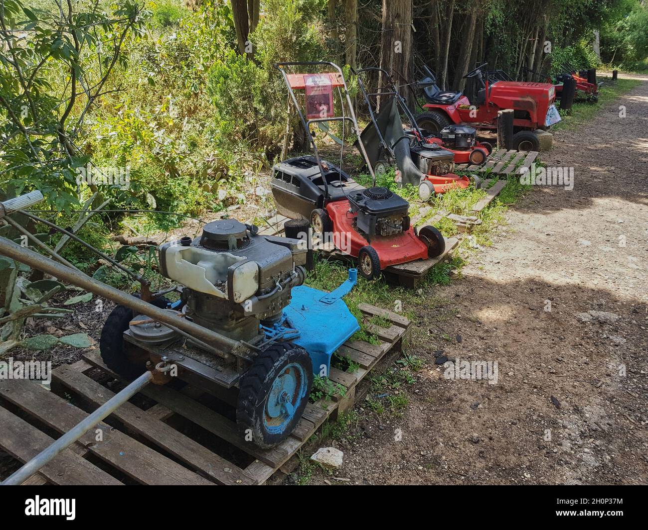 old gas-mowers in a decorative truss Botanical Garden Emek Hefer in ...