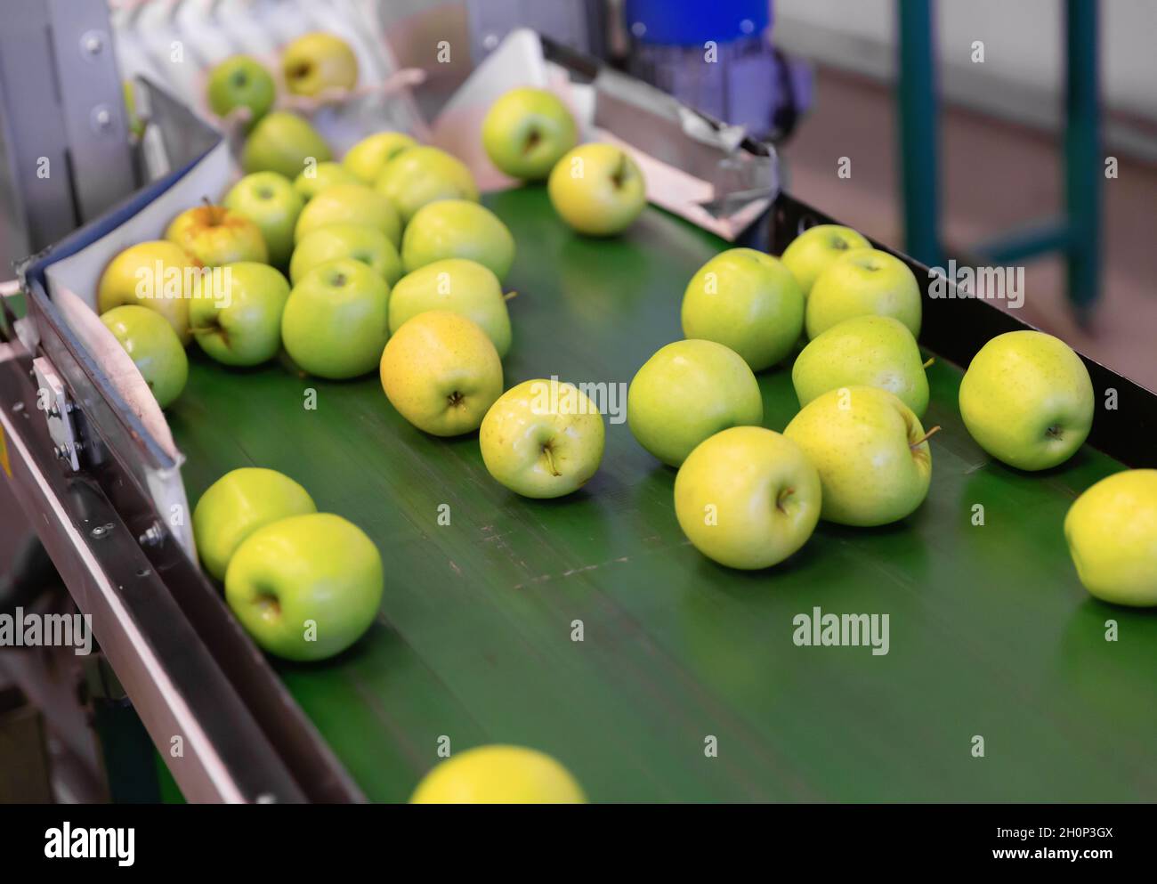 Fresh apples running on rolling conveyor of production line Stock Photo ...