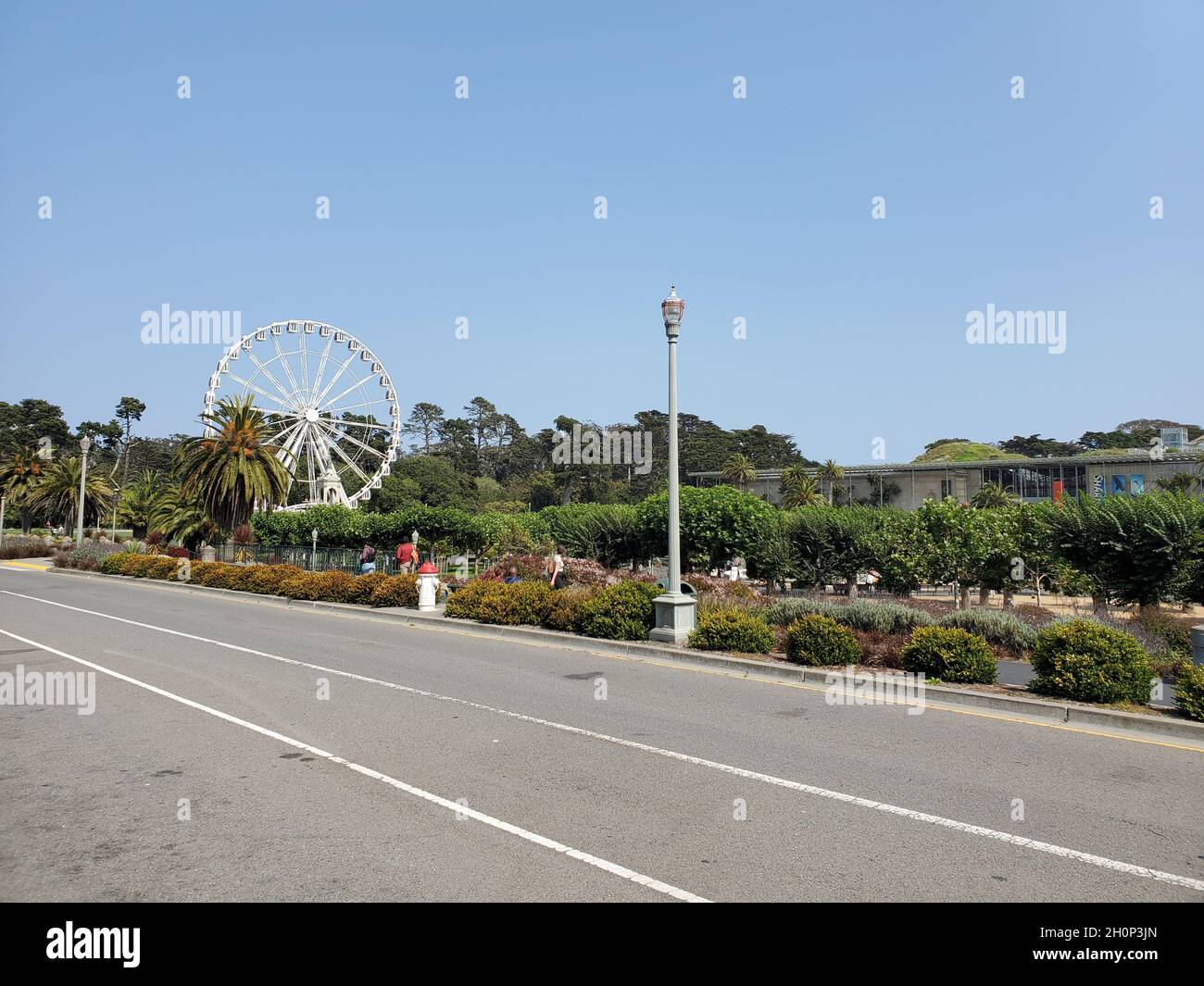 Ferris wheel is visible in Golden Gate Park, San Francisco, California ...