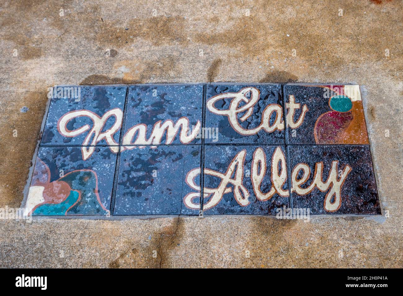 Ram cat hi-res stock photography and images - Alamy