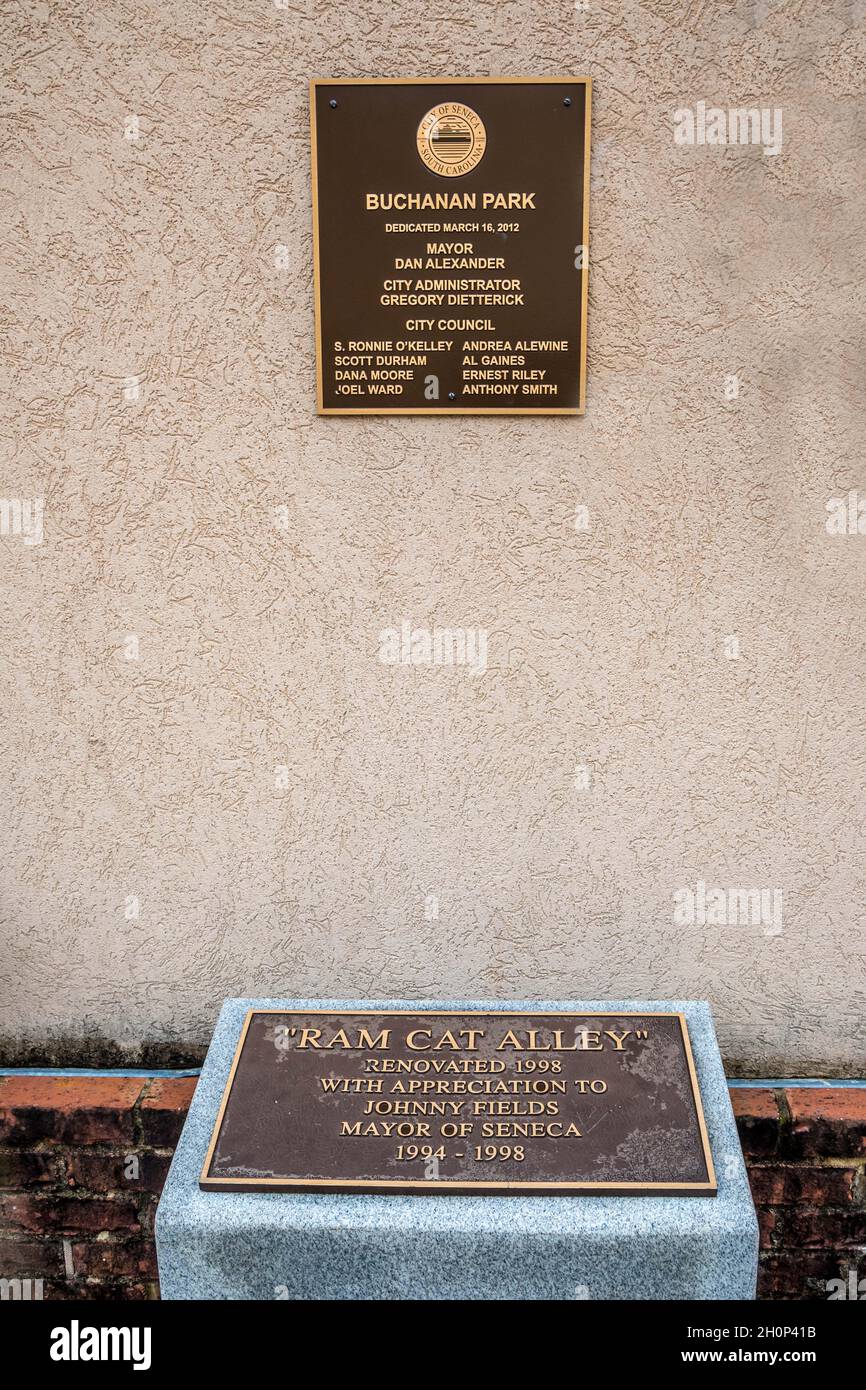 Ram cat hi-res stock photography and images - Alamy