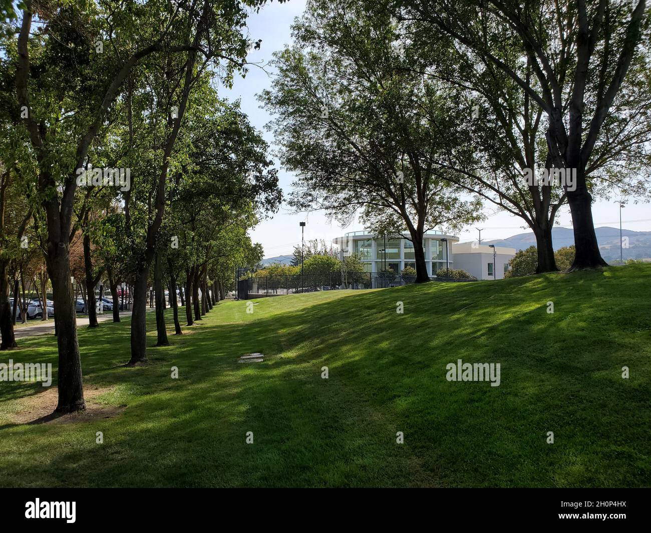 Landscaping is visible on a sunny day at San Ramon Central Park, San ...