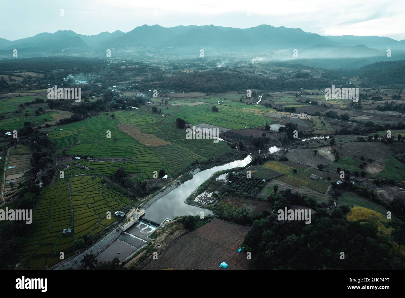 Green rice fields in the rainy season In the countryside Stock Photo ...