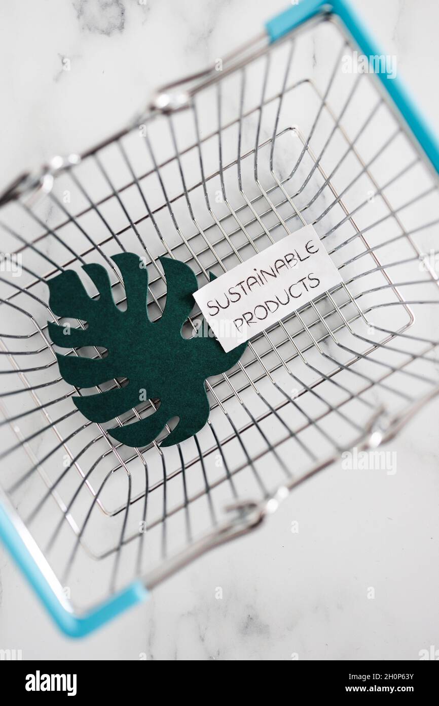 environmental awareness and consumer behaviour conceptual image ...