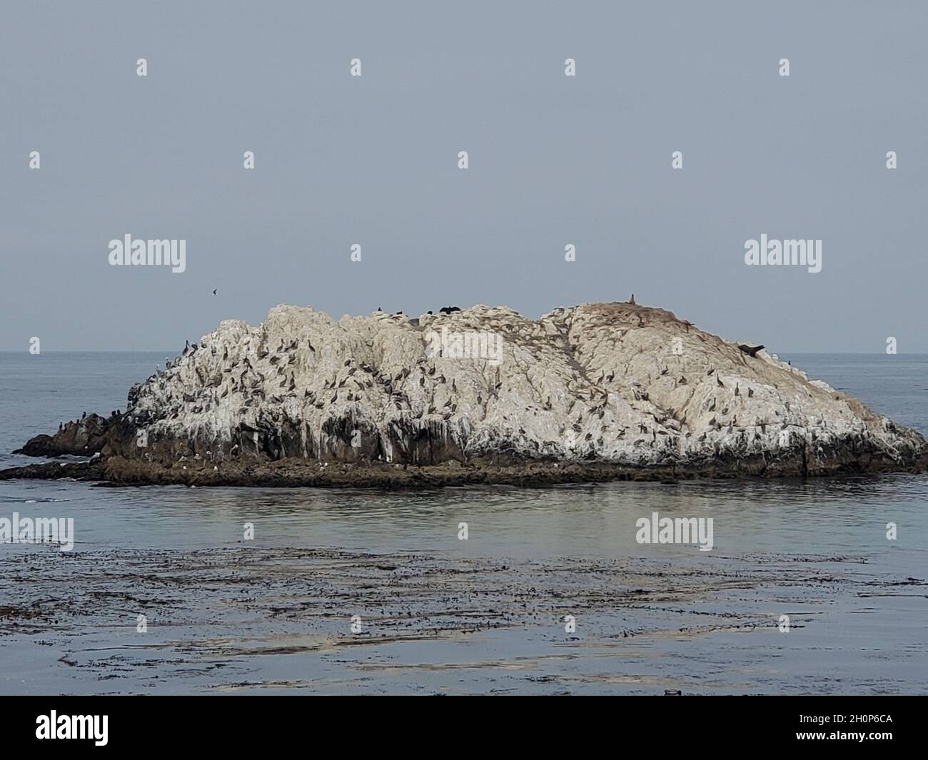 United States. 04th Sep, 2021. Close-up of Bird Rock, a rocky ...