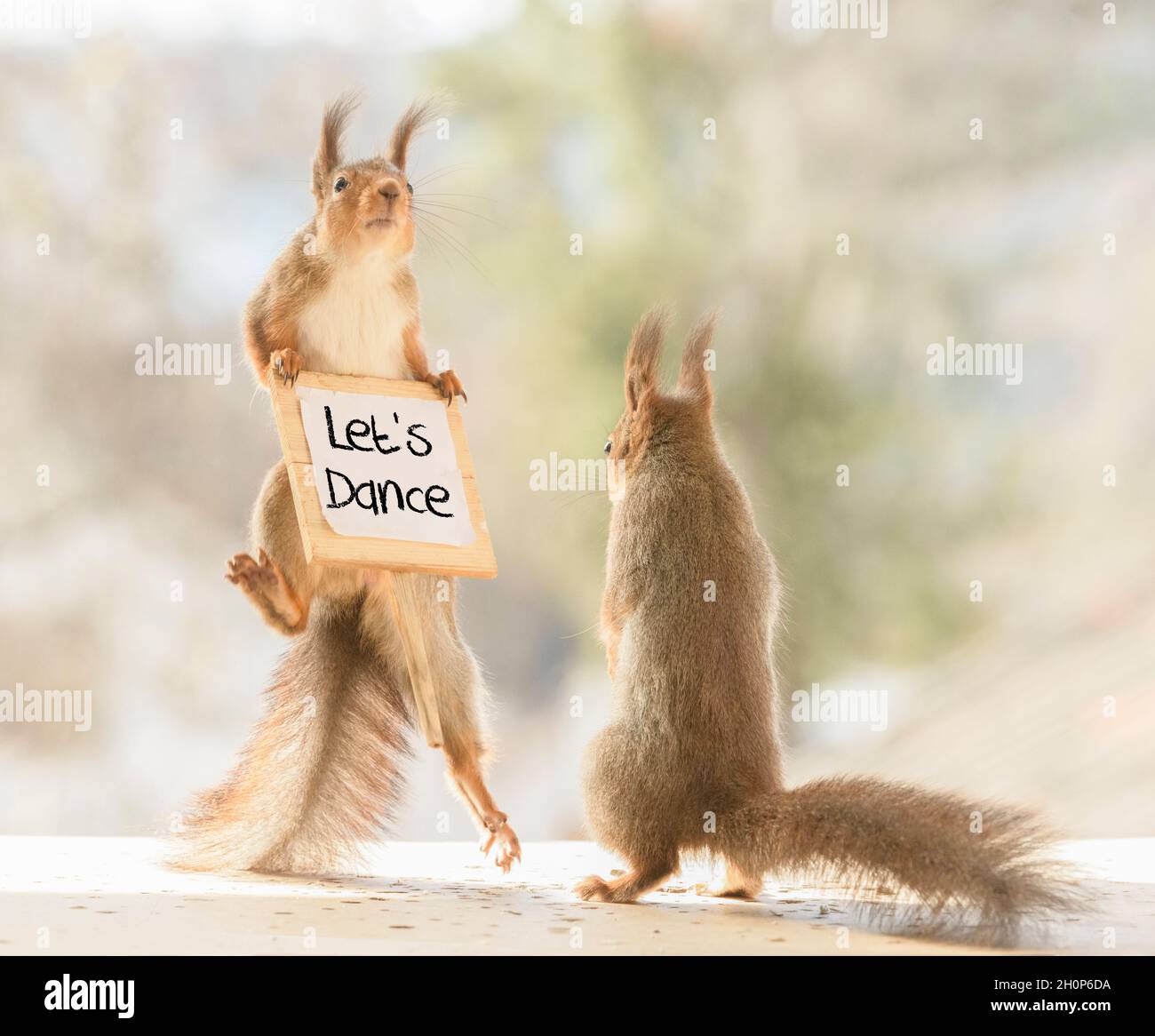 Lets plant hi-res stock photography and images - Alamy