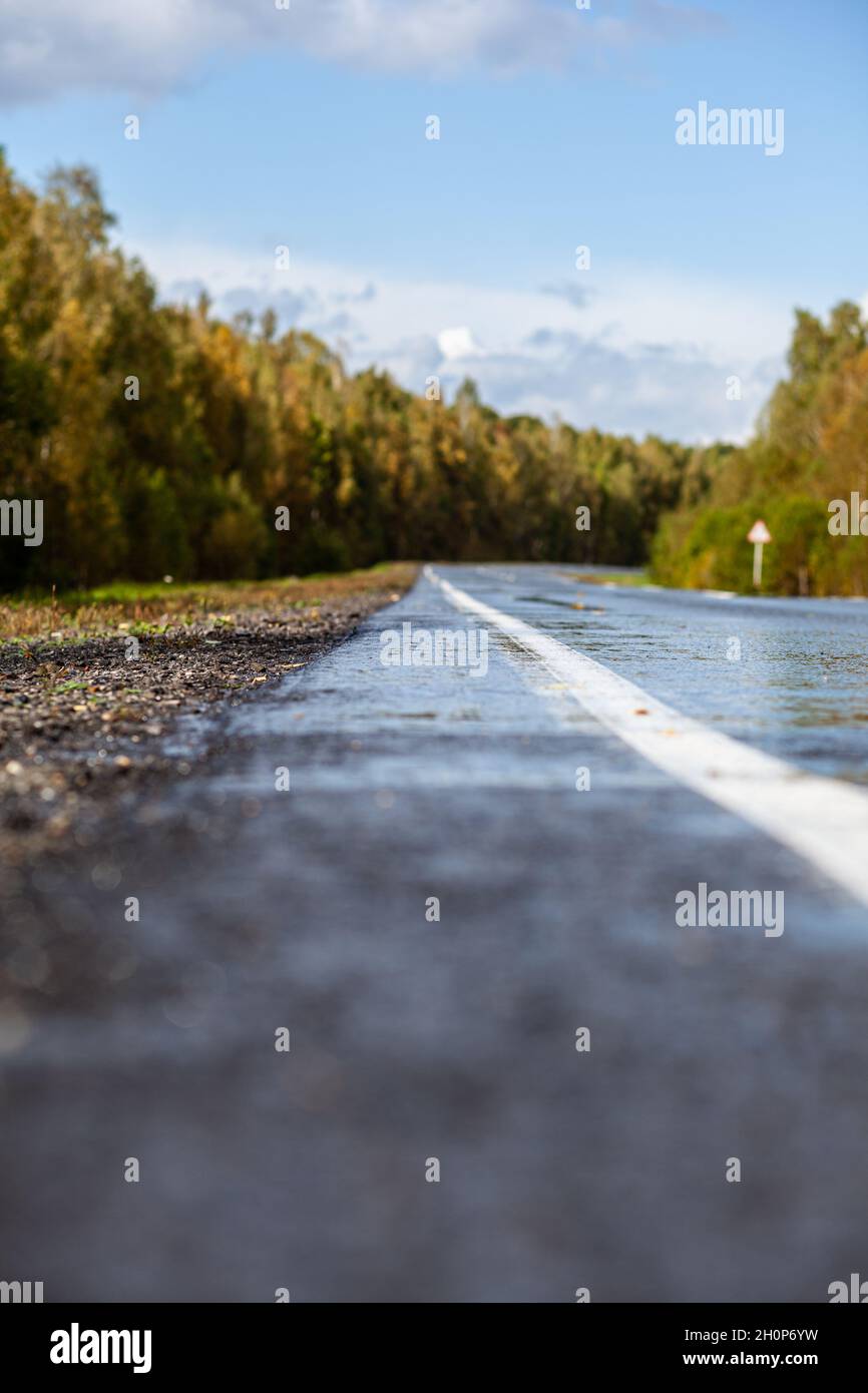 Straight road with a marking on the nature background. Open Road in ...