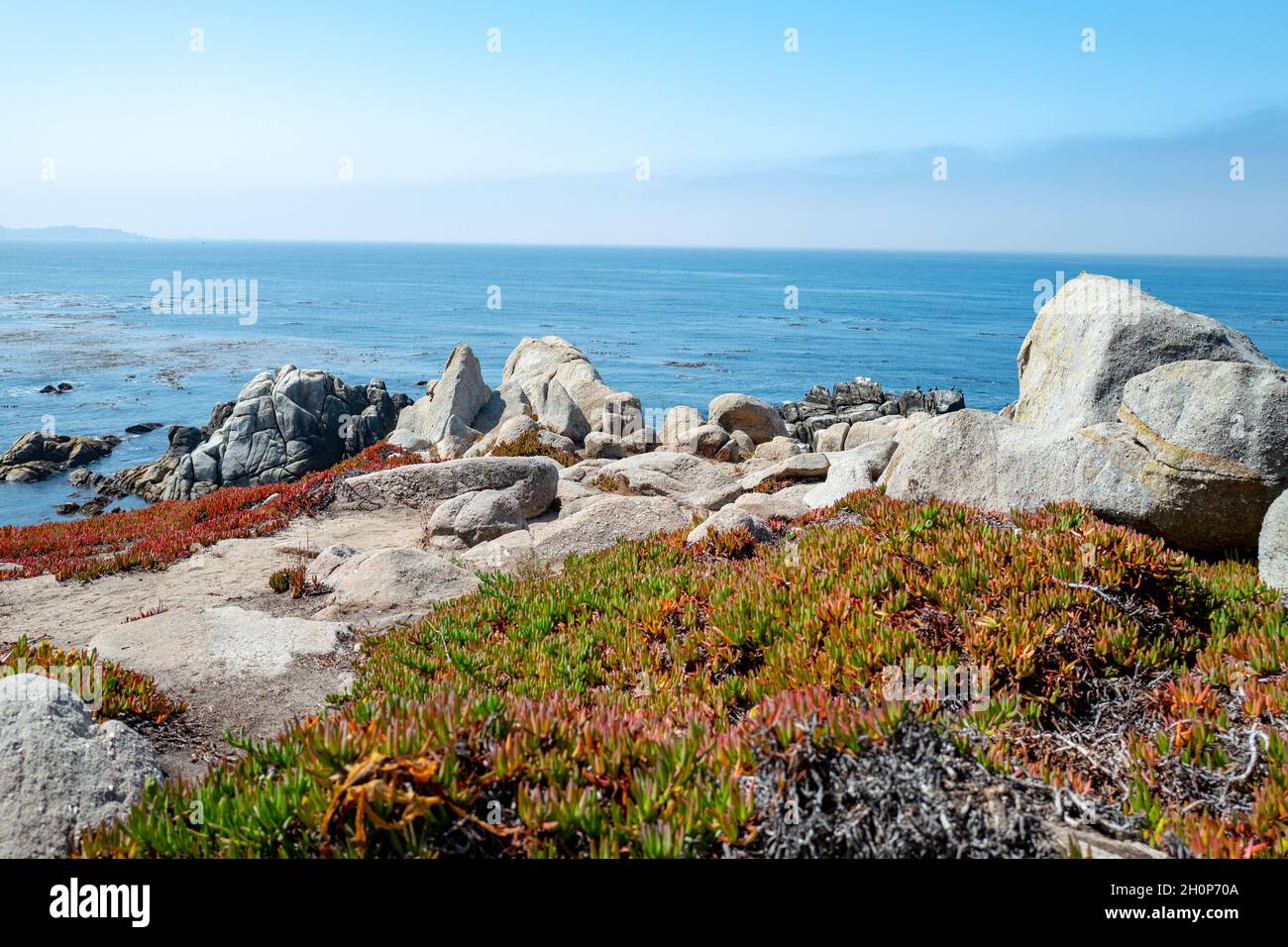 Rocks and surf are visible along 17 Mile Drive, Pebble Beach ...