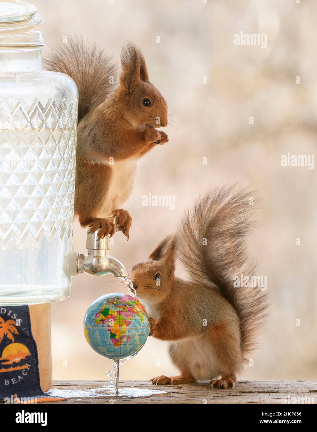 Watering plant globe hi-res stock photography and images - Alamy