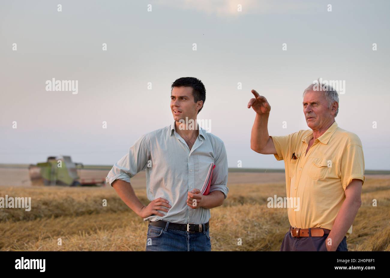 Two farmers standing on wheat field at harvest with combine harvester ...