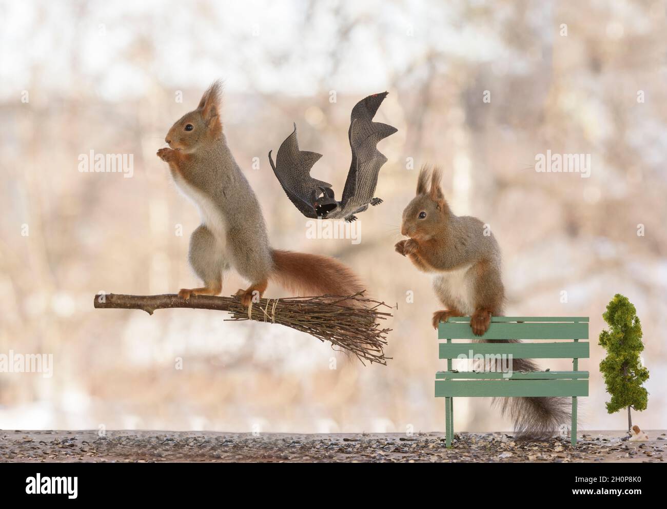 red squirrels are standing on an broom and bench with a bat Stock Photo ...