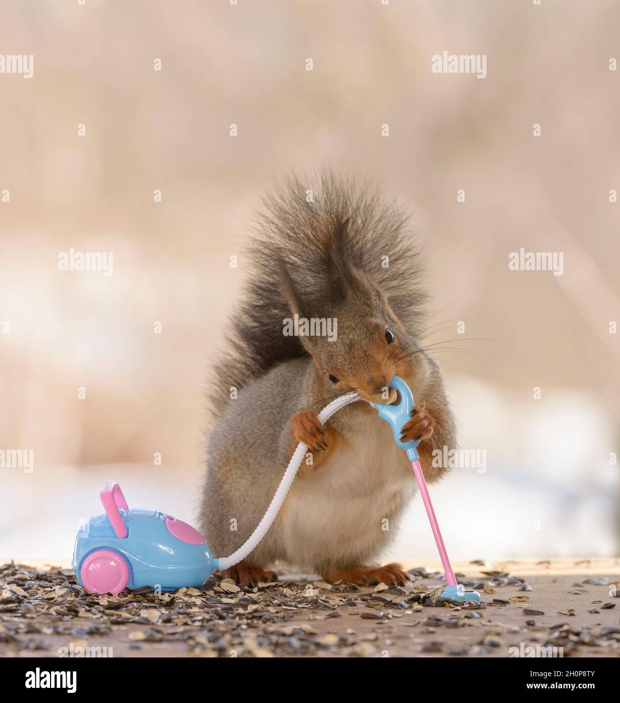 Pipe cleaner animal hi-res stock photography and images - Alamy