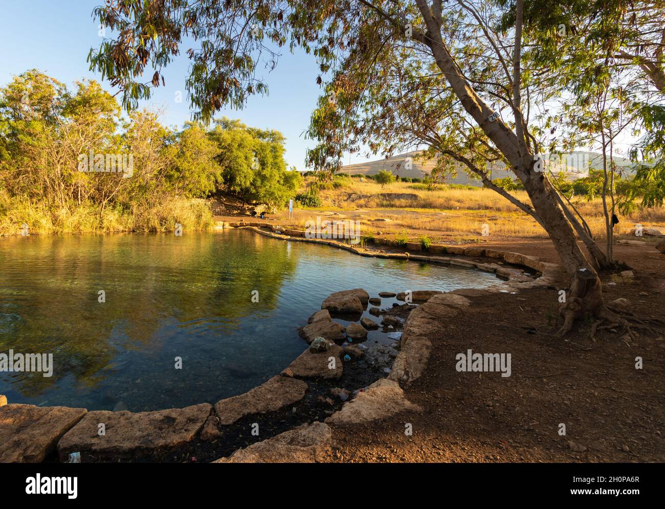 A spring of fresh water called Ein Shokek, in the Valley of the Springs ...