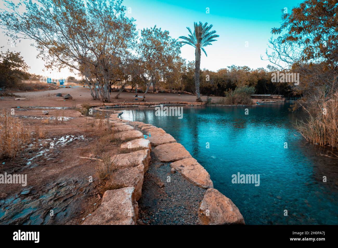 pool of clear spring water against a palm tree background, in the ...