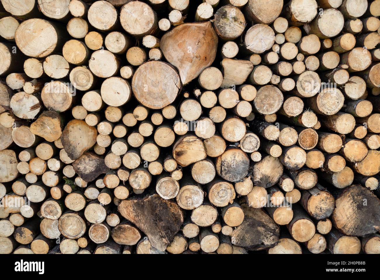 Stacked round timber in close-up, mostly with smaller diameter Stock ...