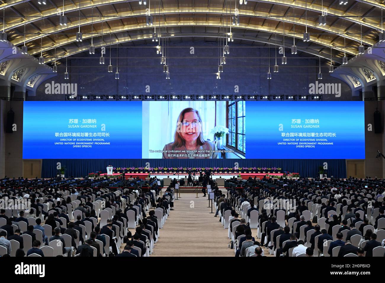 Susan gardner hi-res stock photography and images - Alamy