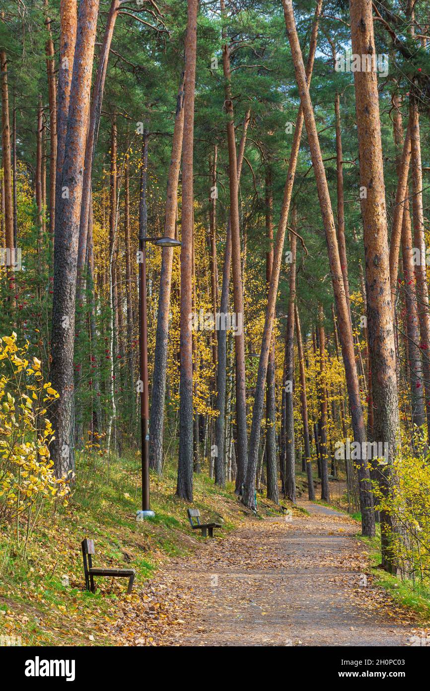 Pyynikki ridge hi-res stock photography and images - Alamy