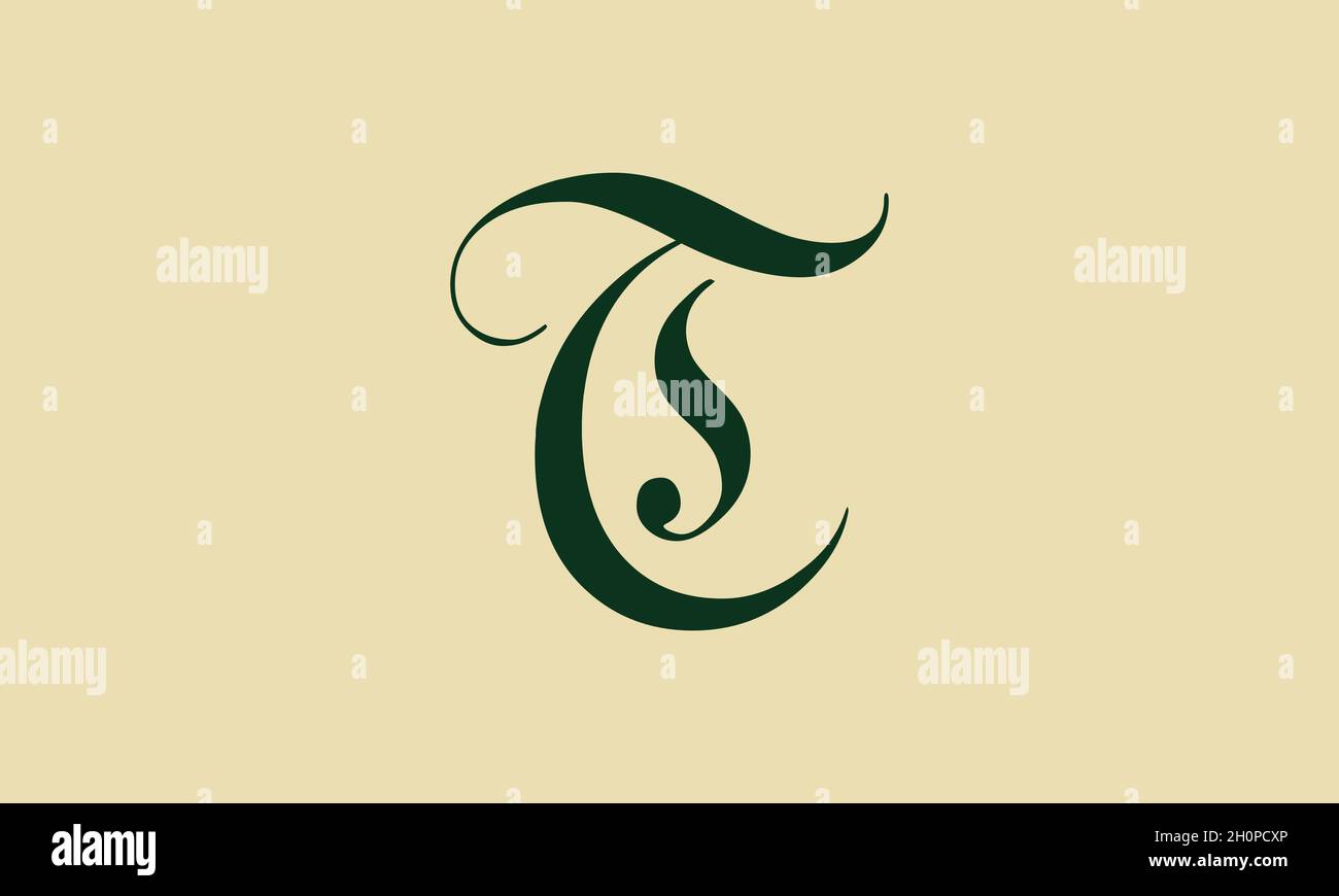 Cursive Letter TS Initial Logo Concept, Vector Template. Vector design ...