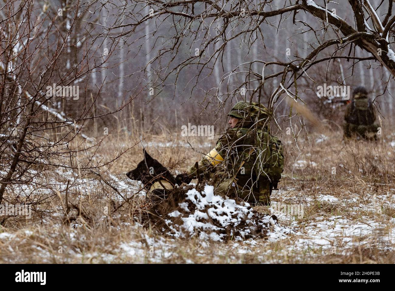 The OMON (riot police) dog handler with a service dog in a shelter ...