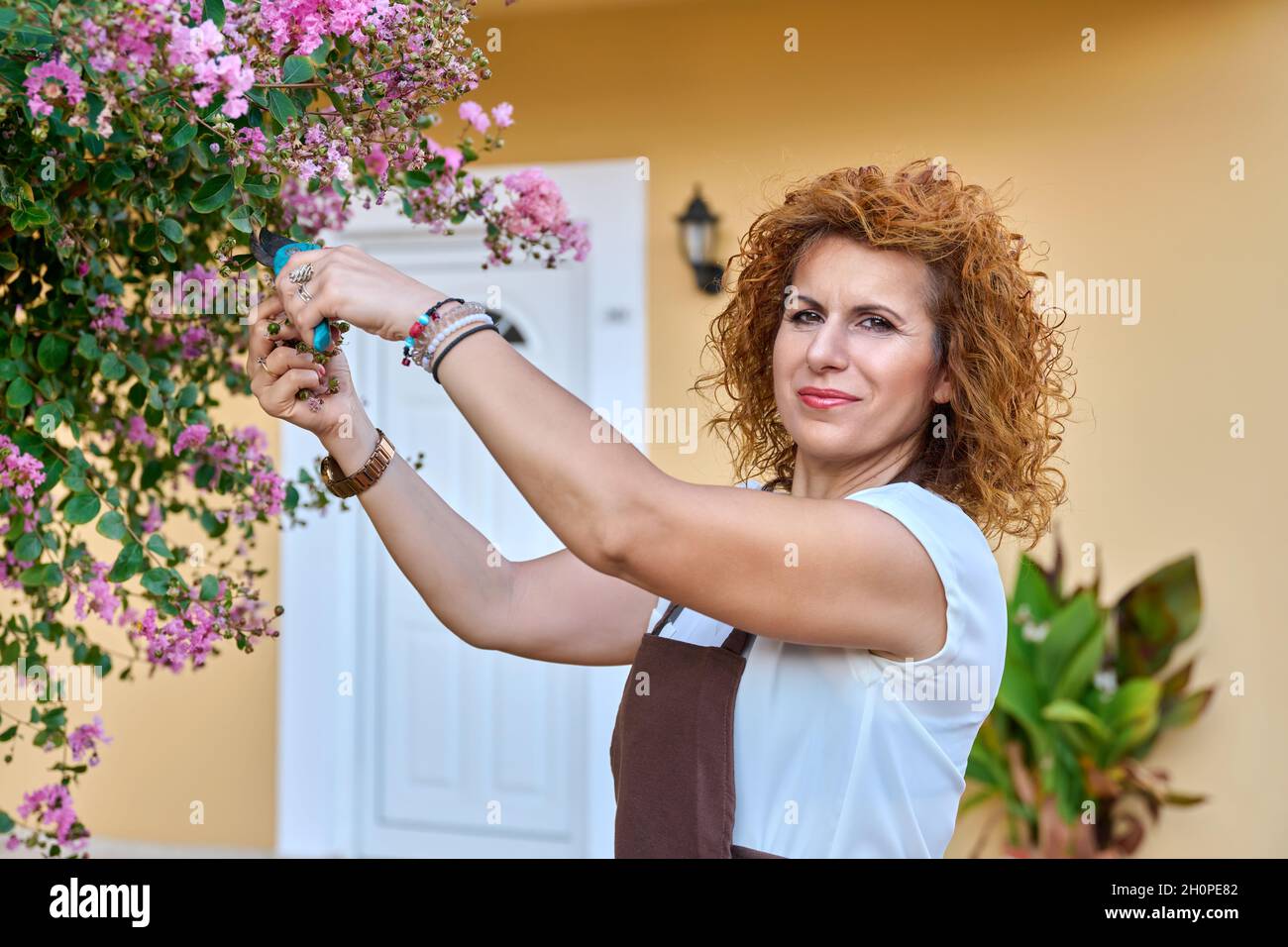 Woman in garden with pruner caring for flowering bush Stock Photo - Alamy