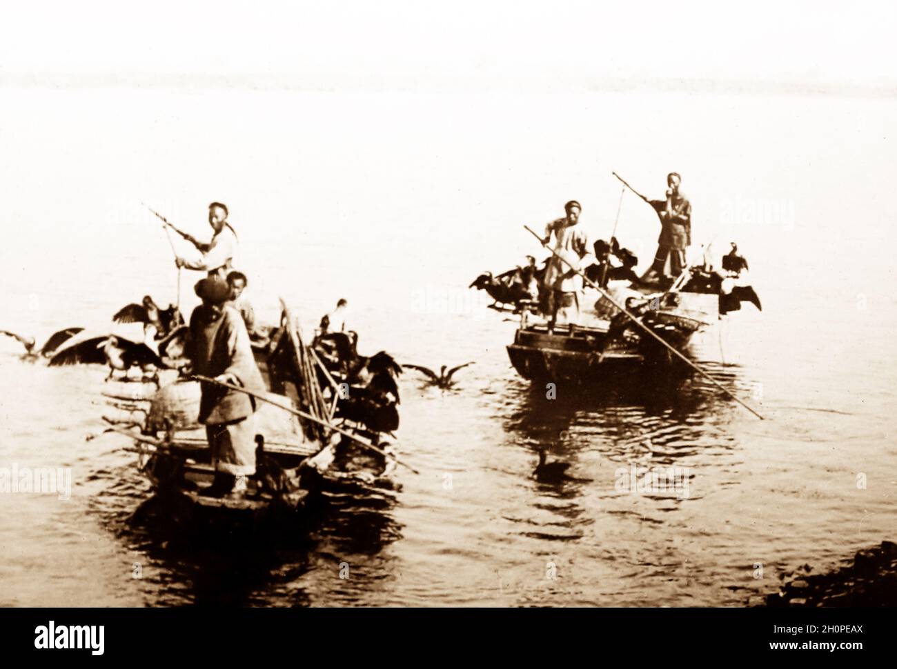 Victorian chinese hi-res stock photography and images - Alamy