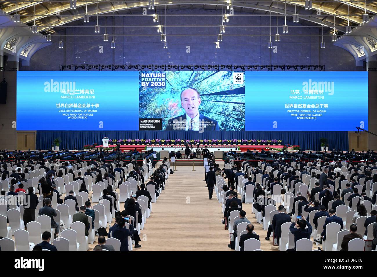 Marco lambertini hi-res stock photography and images - Alamy