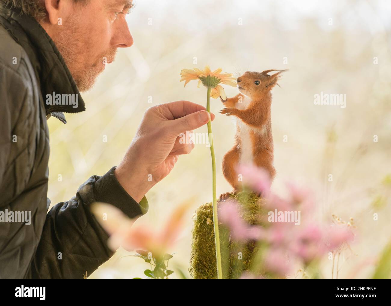Man holding squirrel hi-res stock photography and images - Alamy