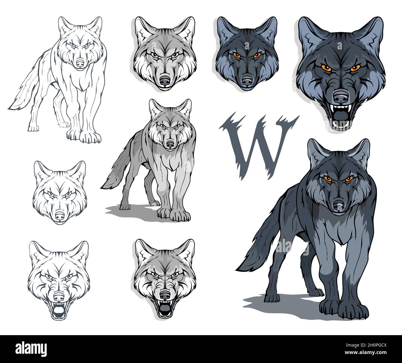 Vicious Wolf Drawing